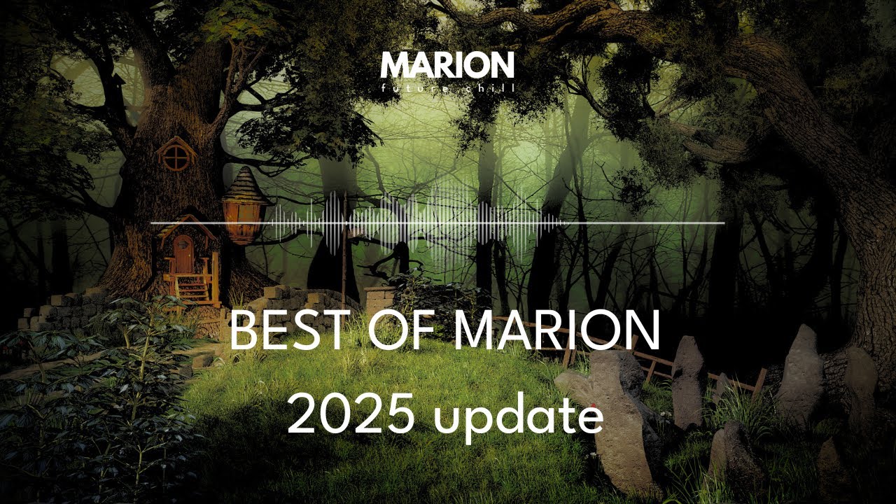 Best of MARION Mix - 2025 Update [1,5 Hour] ChillStep | Chillout - YouTube