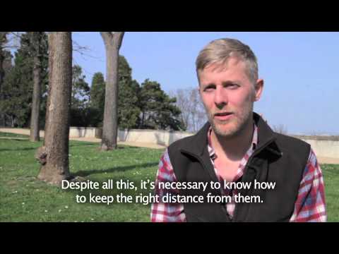 BlogTV: End of life Cure