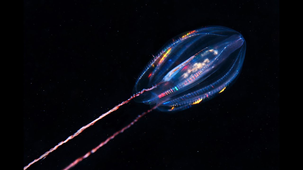 Some deep talk about my thoughts, myself, Sam Gerrans and the Quranite ...