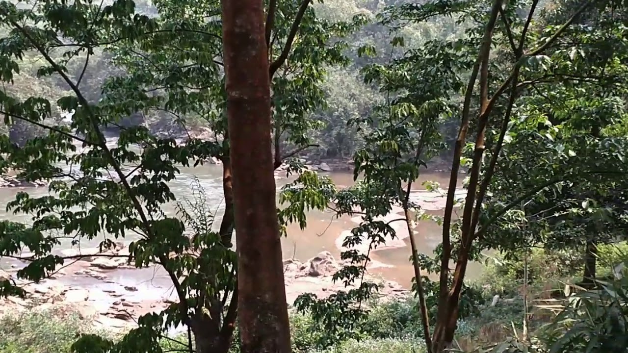 Gone fishing adventure | Umtrew River | - YouTube