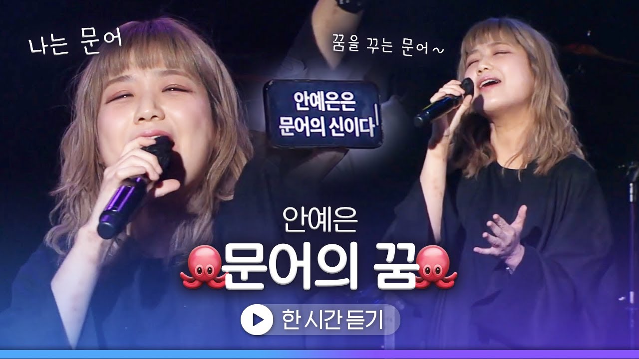 한 번 들으면 계속 생각나는 마성의 노래로 초통령 등극 안예은 🐙문어의 꿈🐙 Live 1시간 연속듣기 Youtube