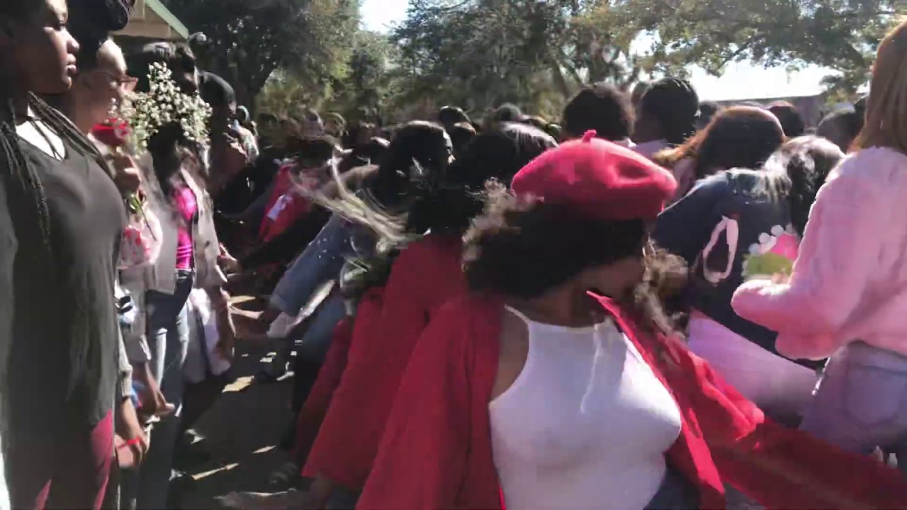 Delta Sigma Theta Sorority, Inc. | Beta Alpha | FAMU Set Friday - YouTube
