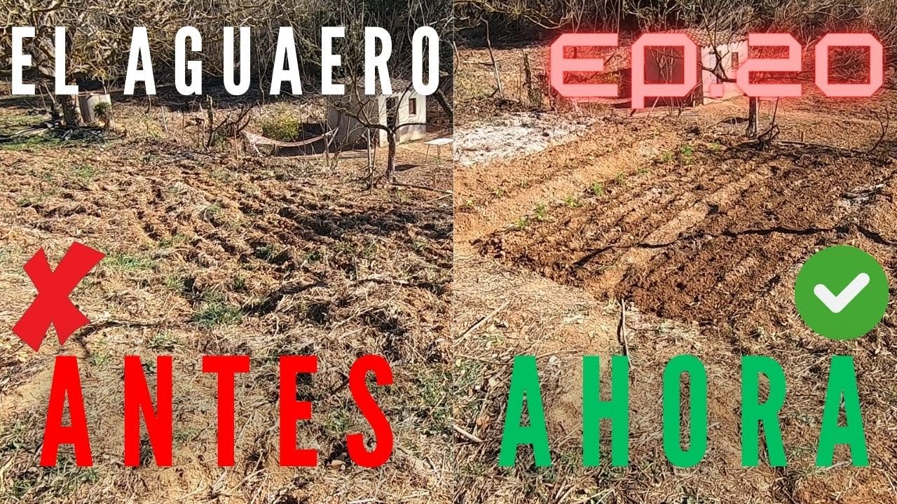 ¡EMPEZANDO el HUERTO desde CERO! - EP. 20 - El Aguaero - YouTube