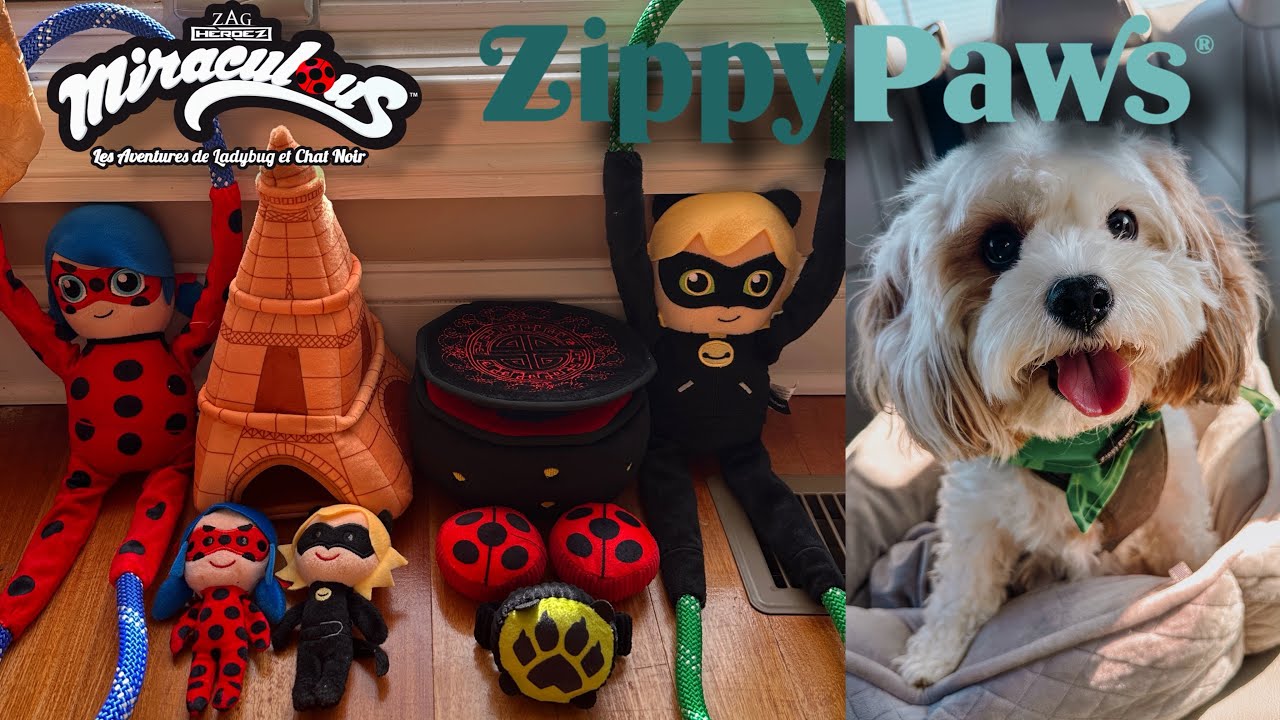 Miraculous Ladybug Themed Dog Toys from ZippyPaws - YouTube