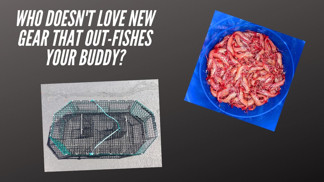 Check out this shrimp pot set up that will out-fish your buddy - YouTube
