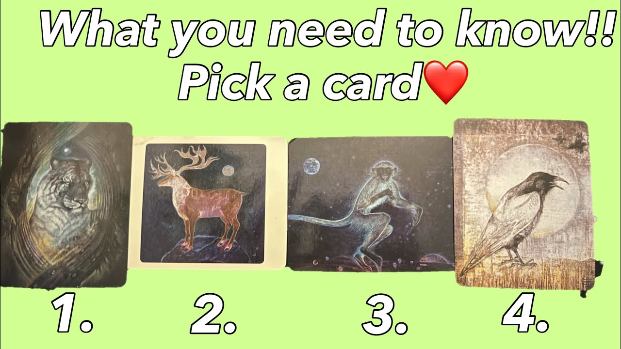 What you need to know right now! Pick a card reading - YouTube