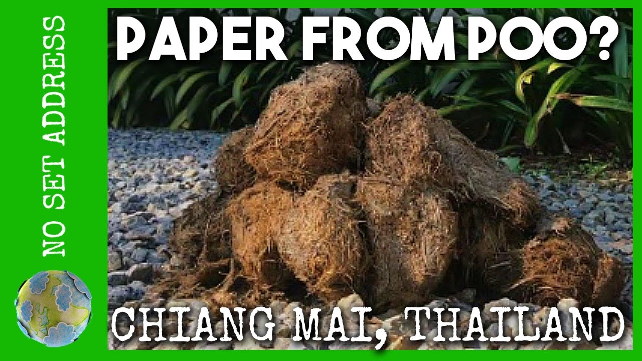 Making Paper From Poo Elephant Poo Poo Paper Park YouTube making-paper-from-poo-elephant-poo-poo-paper-park-youtube