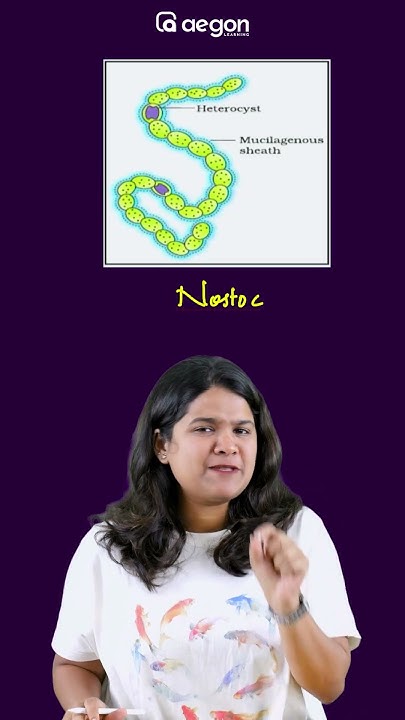 ഒരു മിനുട്ടിൽ രണ്ട് മാർക്ക് Plus One Biology Aegon Learning