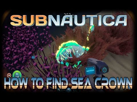 Subnautica: How to find Sea Crown Plant (Easy) - YouTube