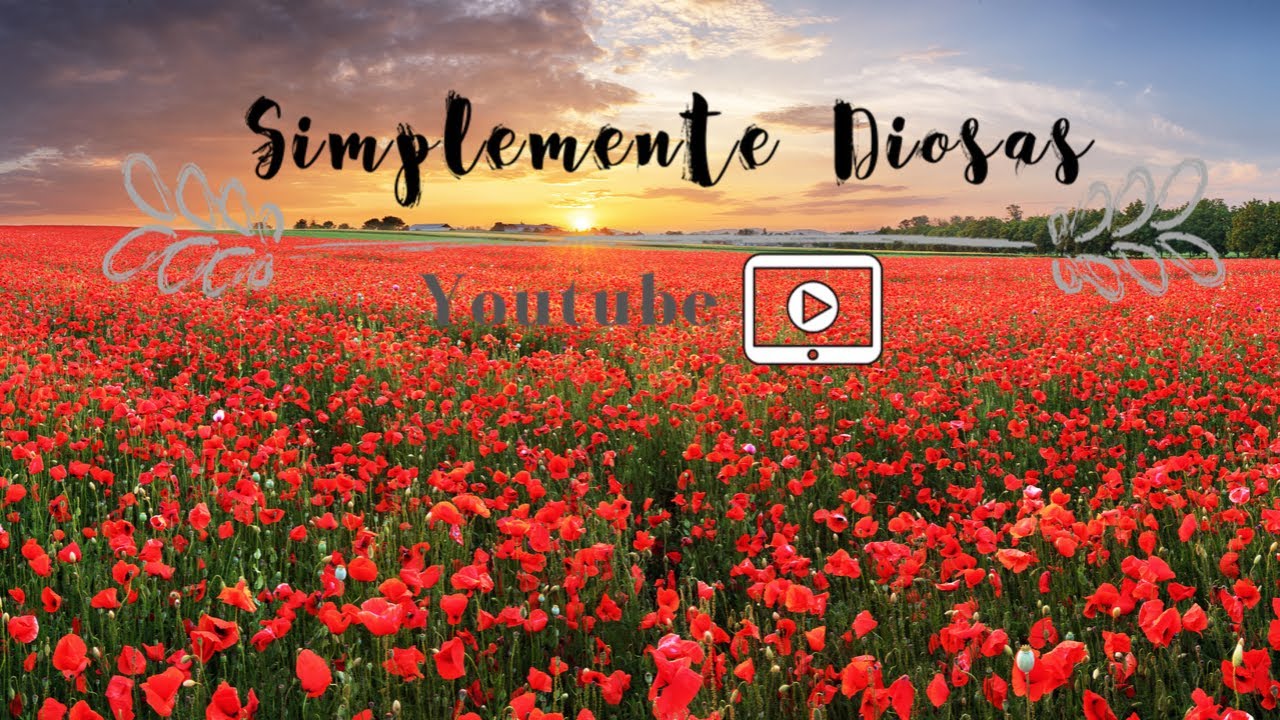 Bienvenida a Simplemente Diosas (belleza, salud y lifestyle para la mujer) - YouTube