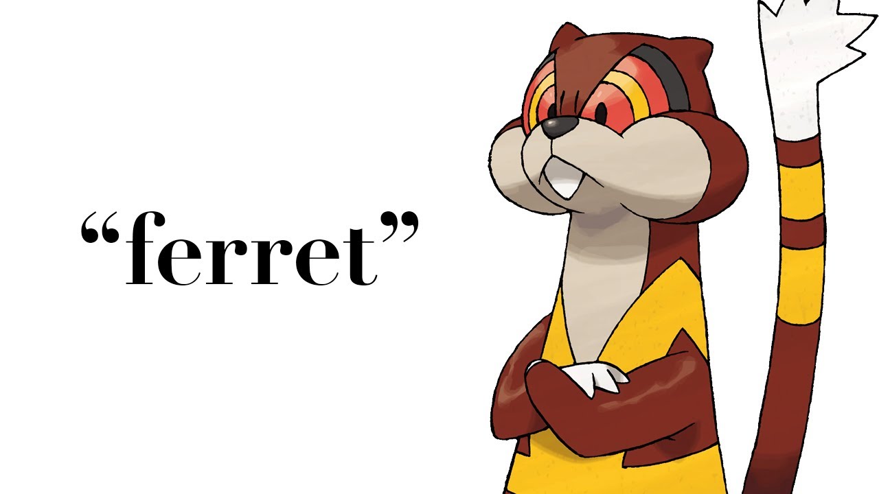 ferret - YouTube