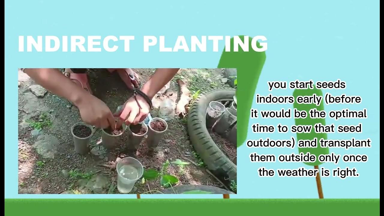 DIRECT AND INDIRECT PLANTING I EPP - YouTube