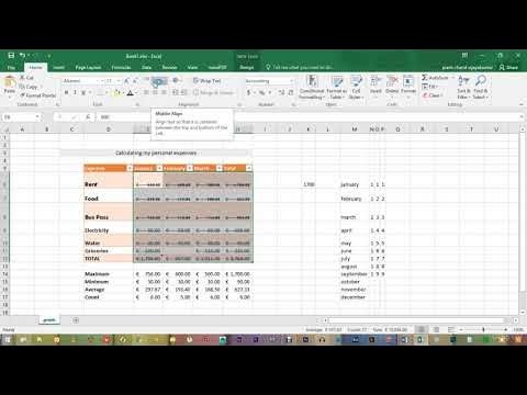 009 Microsoft Excel 2016 Adjusting Column width and Row height inside Excel - YouTube