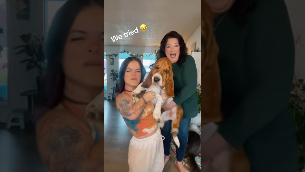 Our Basshole Luna is the best weapon! #gumdropgoblin #funny # ...