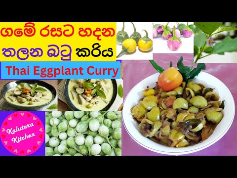 Thalana Batu Curry | Thalana Batu Recipe | Ela Batu Curry | Thalana ...