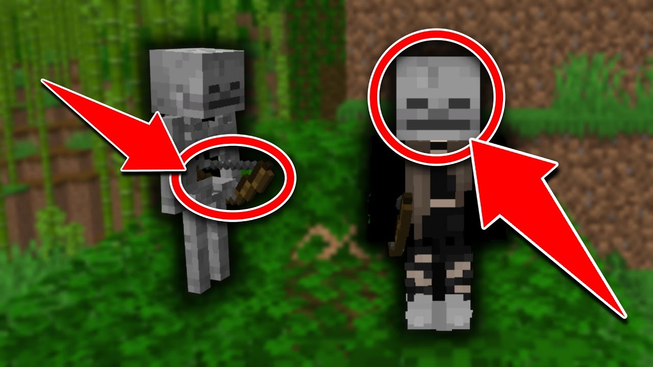 Top 3 Fun facts you didn't know about skeletons | Minecraft - YouTube