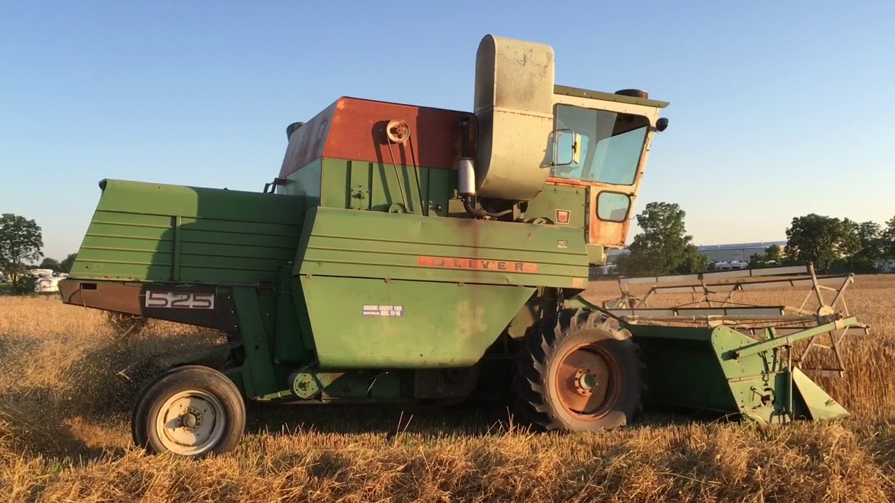 2019 summer harvest with the Oliver 525 - YouTube