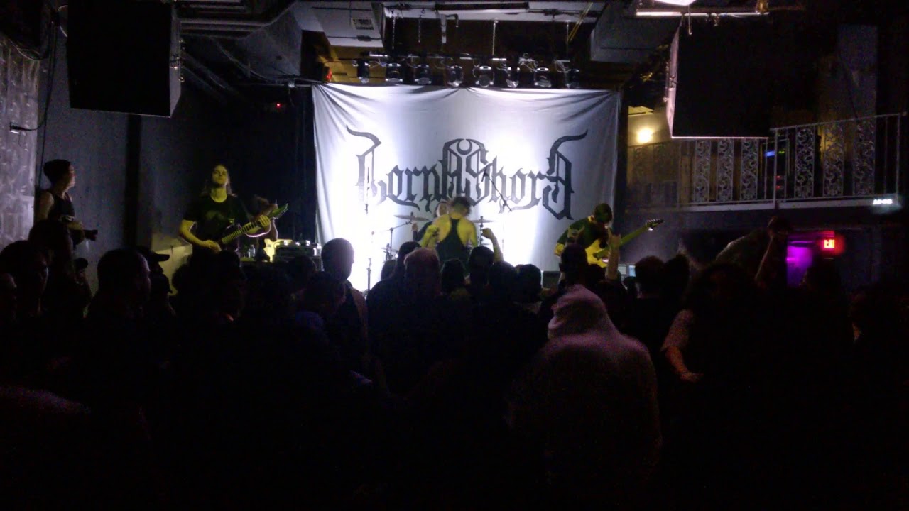 Lorna Shore - Flesh Coffin (Live in Atlanta, GA 2019) - YouTube Music