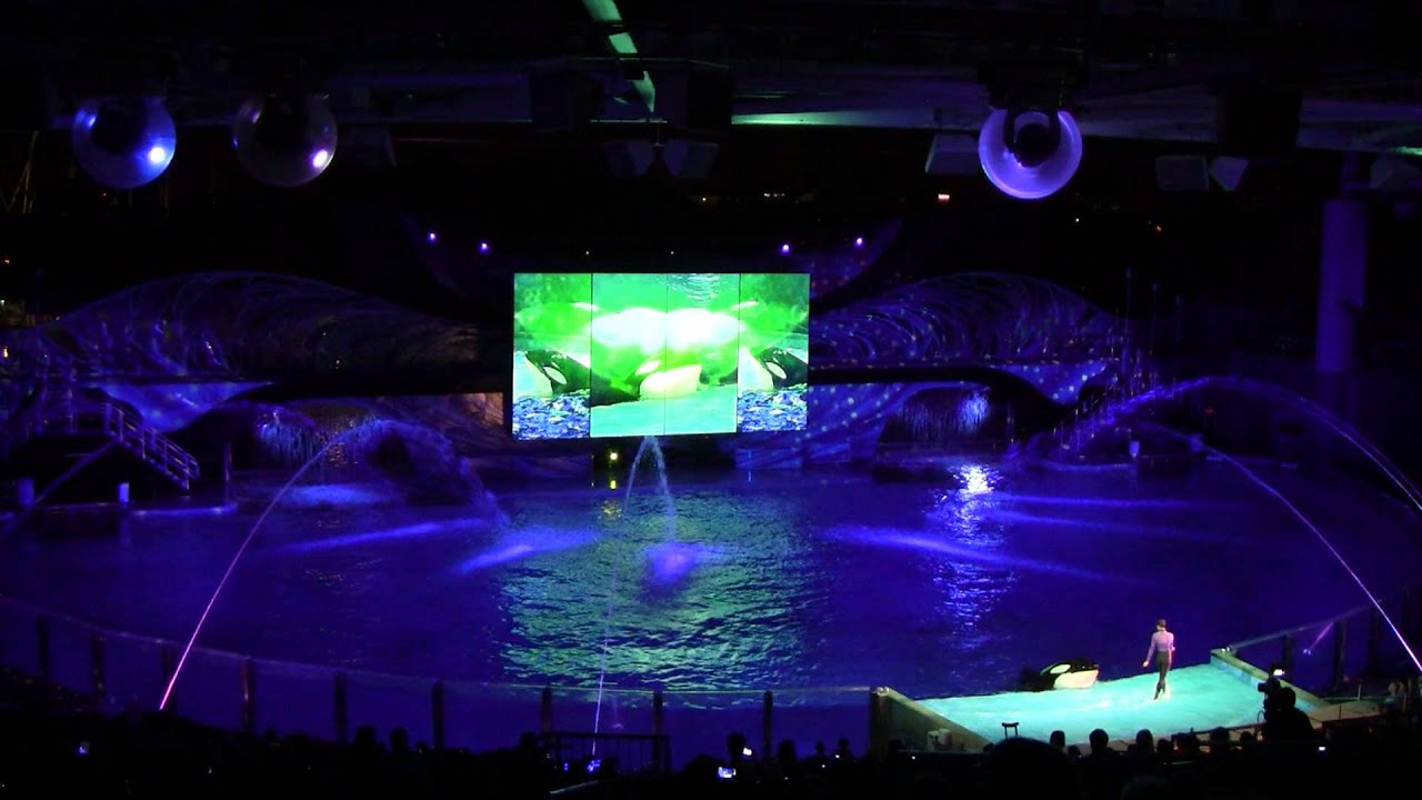 Shamu Rocks 2013 - YouTube