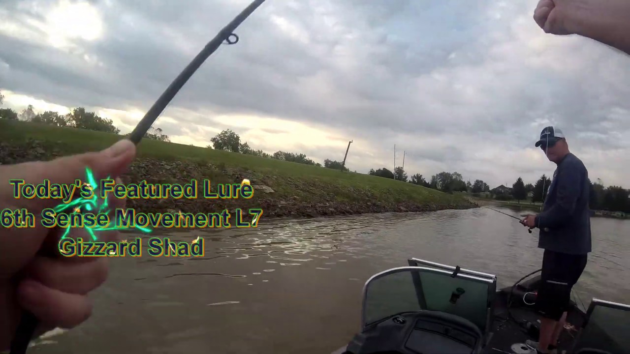 Spring Largemouth Bass Fishing with Squarebill Crankbaits - YouTube