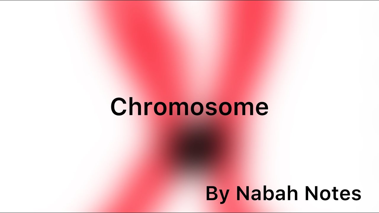 Chromosome structure (uncoiling) part -2 - YouTube
