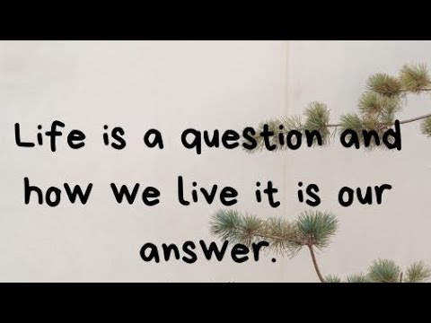 Life is a Question | Deep Lines | Deep Qoutes - YouTube