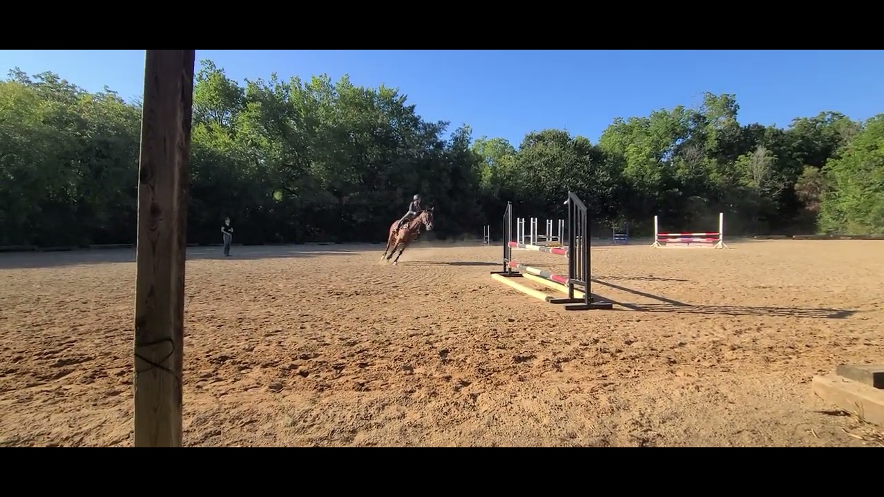 Monarch jump ( sharp turns) - YouTube