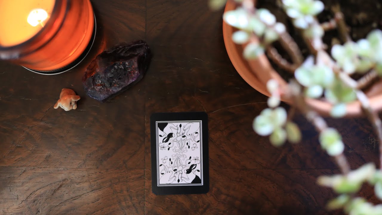 Mini Rabbit Tarot | Unboxing & Flip Through - YouTube