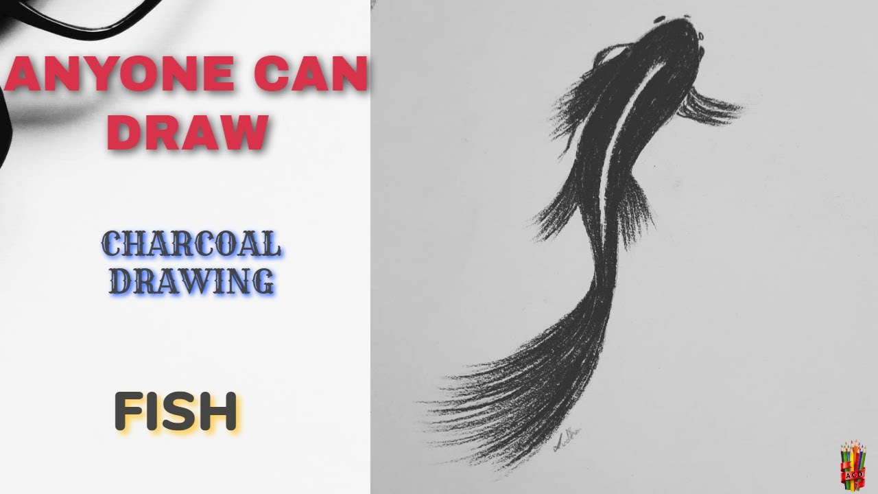 Charcoal Drawing Coy Fish