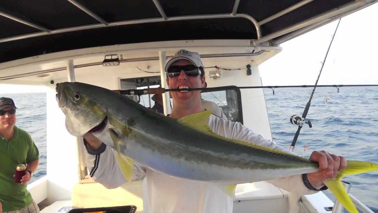 Catching Yellowtail Kingfish with Incredible Fishing Charters - YouTube