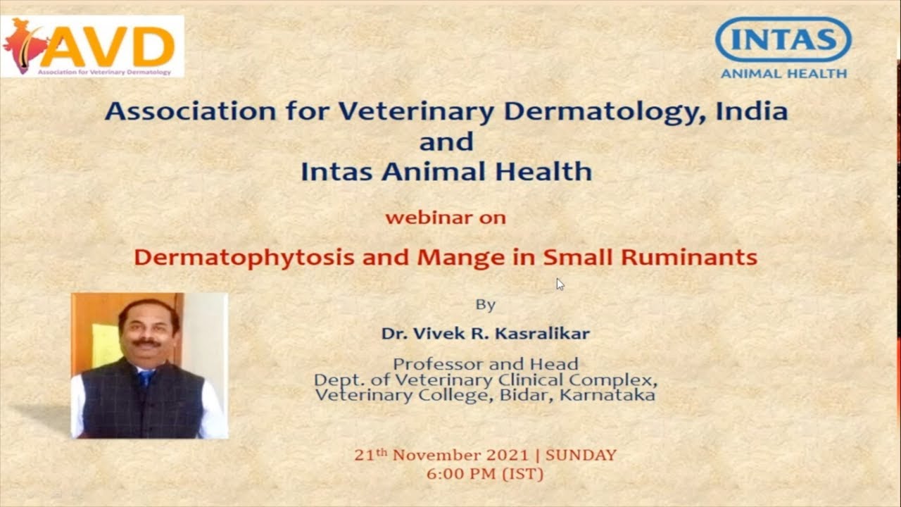 IAVD INTAS Webinar 21-11-2021 - YouTube