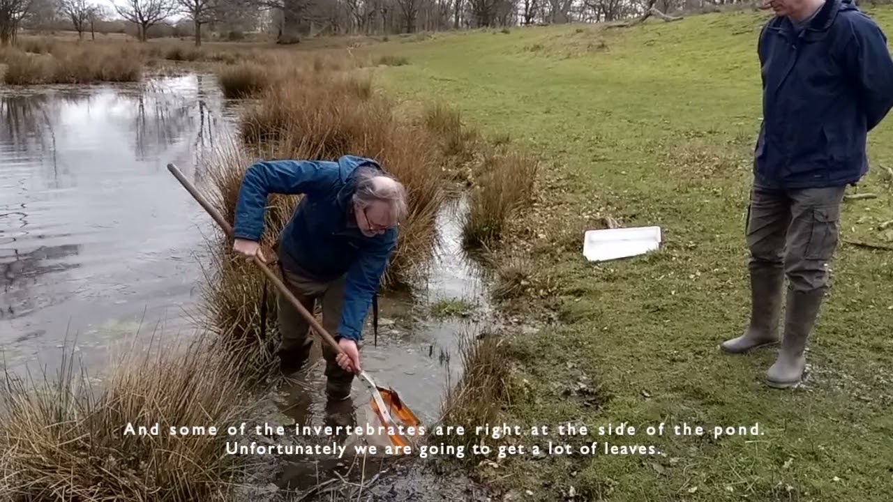 Ice Age Ponds Project: Moccas Park Training Day. March 2021 - YouTube