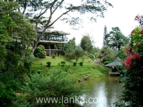 Jetwing Hunas Falls, Kandy, Sri Lanka - YouTube
