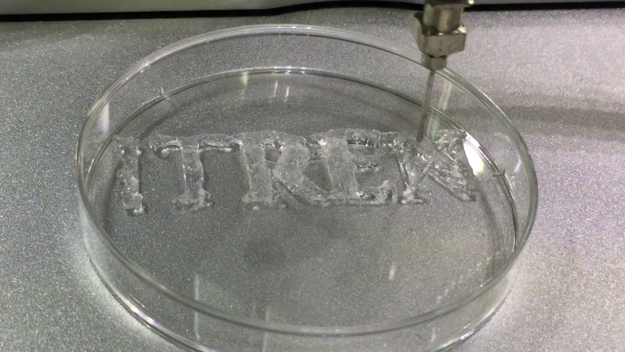 3D printing of Alginate-Gelatin hybrid hydrogel in text form (ITREN ...