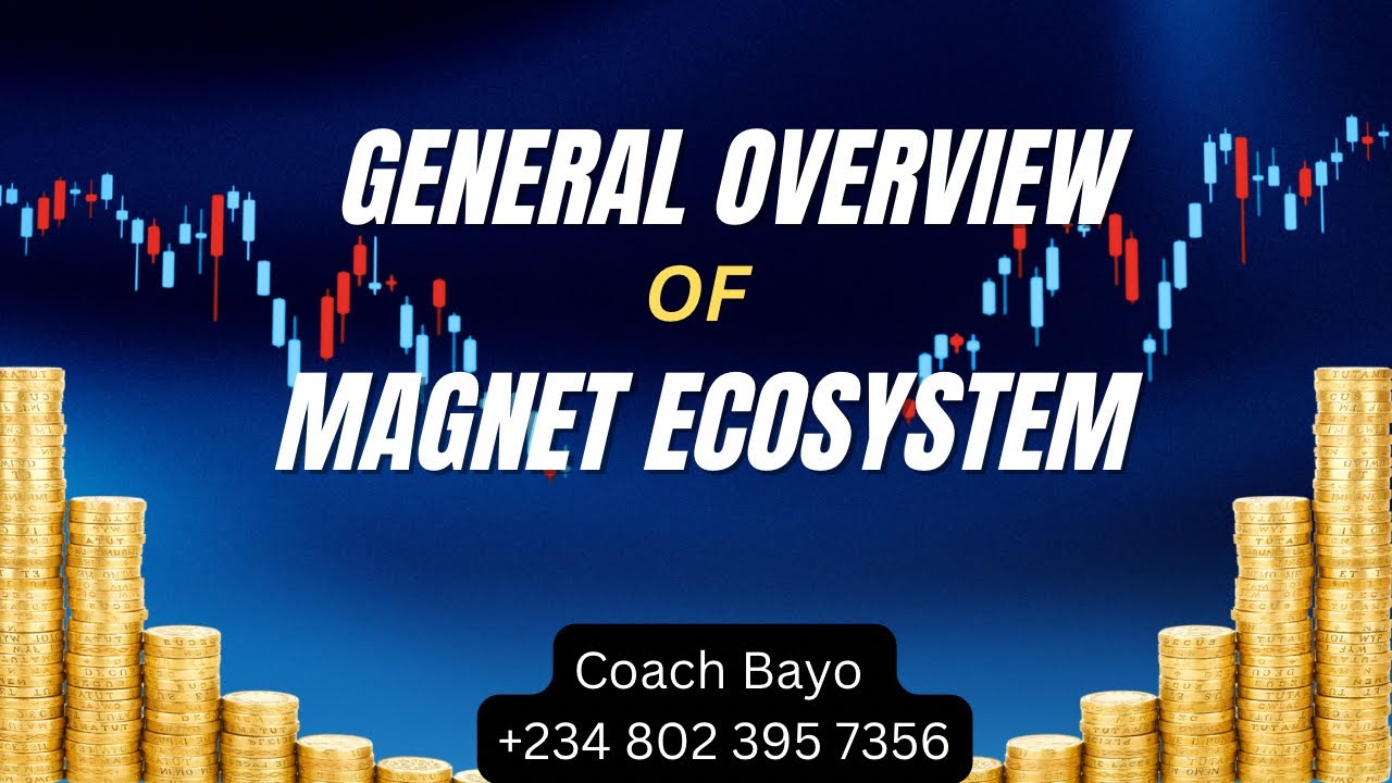 General Overview of Magnet Ecosystem by Coach Bayo - YouTube