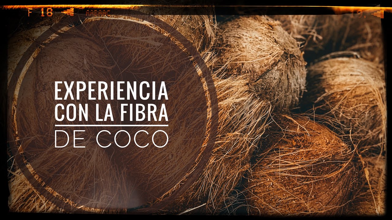 Experiencia con la FIBRA de COCO 🥥 propiedades y cómo hidratarla para ...