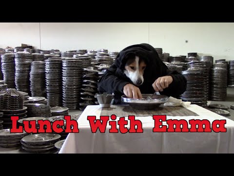 Lunch With Emma - Hubcaps.com Dog Eats With Human Hands! | Human Dog ...
