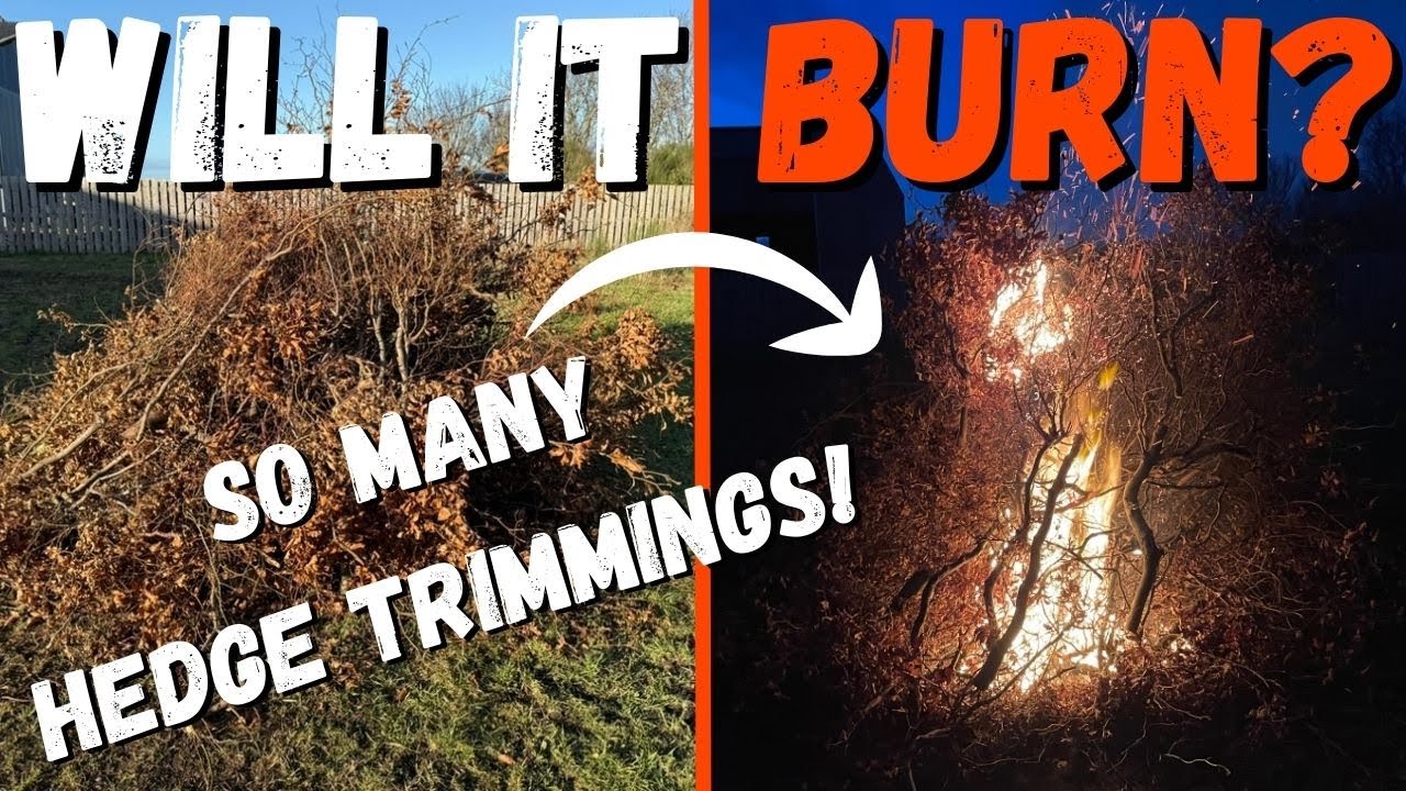 Homestead Hedge Trimming | Dealing with Trimmings & Bonfire FAIL! - YouTube