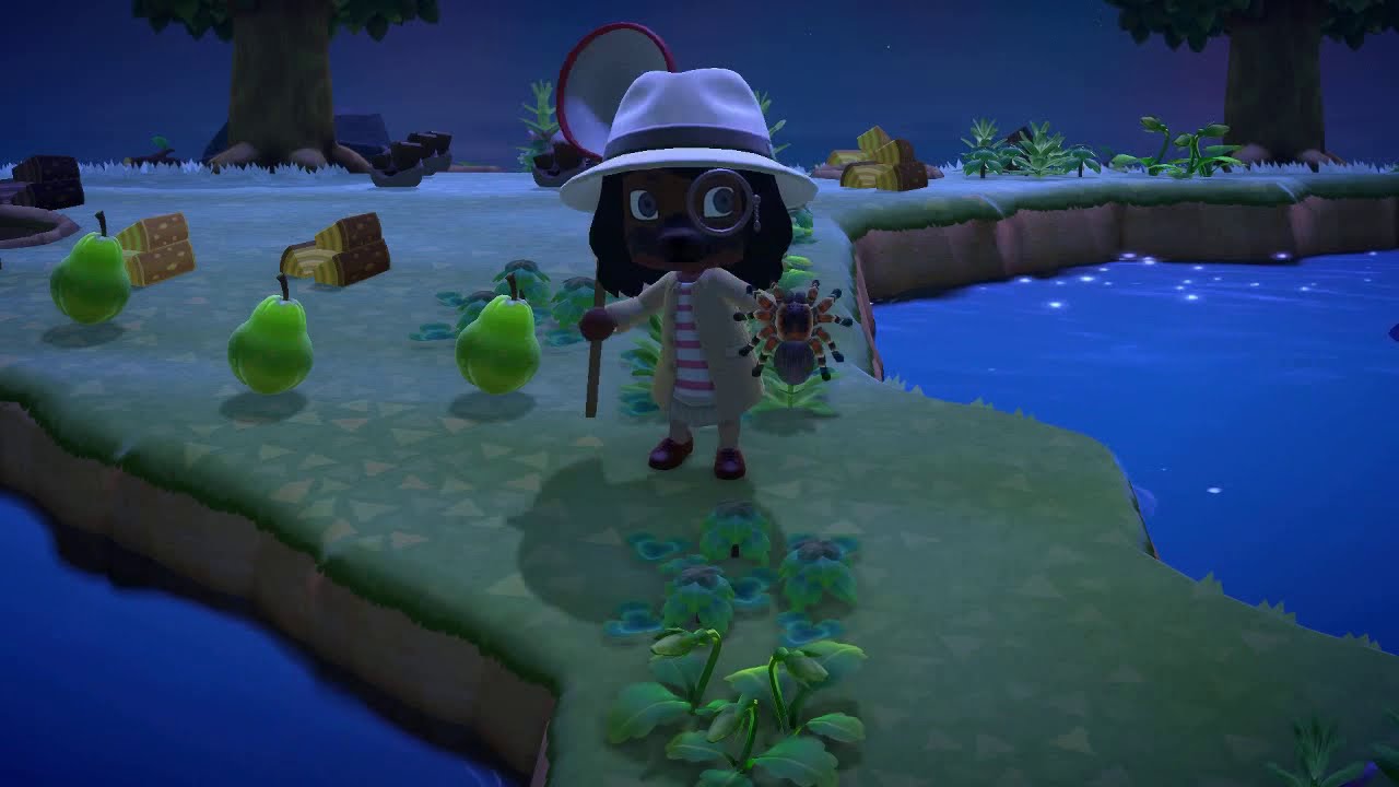 ACNH Tarantula Ranchin' (Spiral Island) (probably obsolete idk man ...