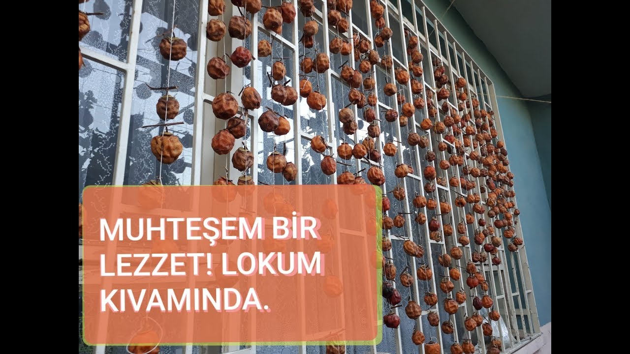 CENNET ELMASI(TRABZON HURMASI) NASIL KURUTULUR!! - YouTube