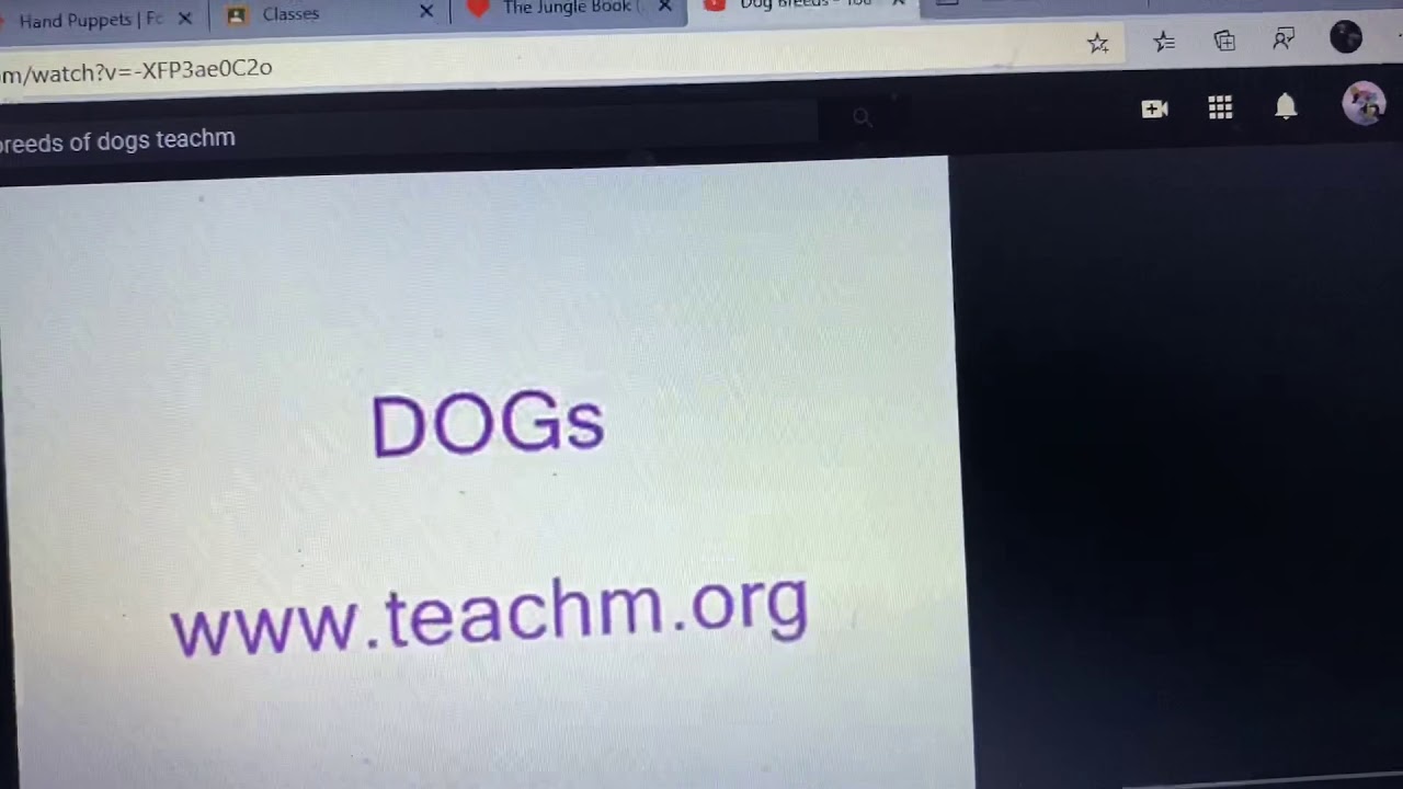 My Reaction #1: Dog Breeds by Teachm - YouTube
