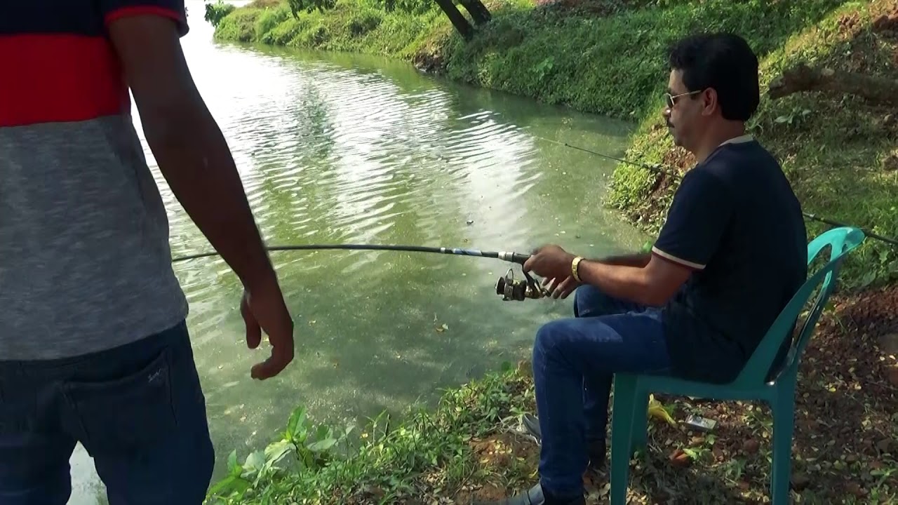 Village Fish Catching Videos by Fish Spark - YouTube