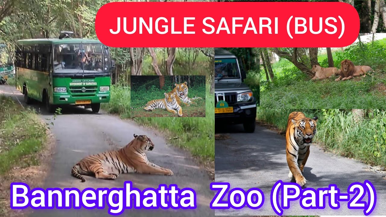 BANNERGHATTA NATIONAL PARK ||Amazing Jungle Safari ||Complete Guide ...