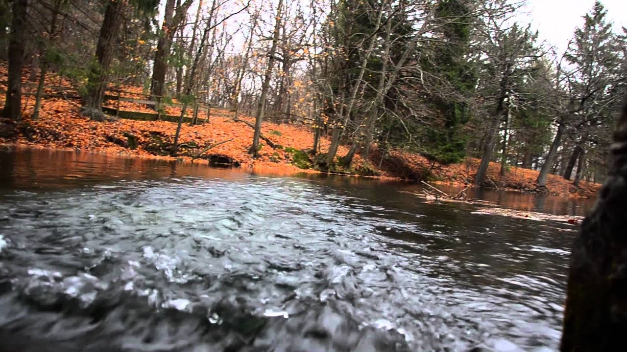 Paradise Springs Nature Area Wisconsin - YouTube