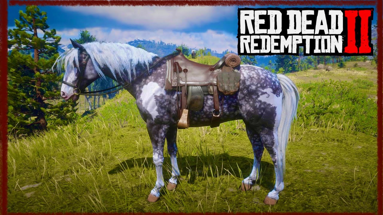 RDR2 I Got Fastest Missouri Fox Trotter Horse In Chapter 2 Red Dead ...