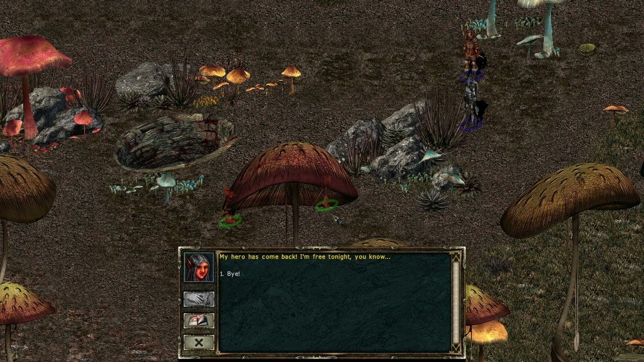 Beyond Divinity (Part 17) Act 2, Exploring the Imp Village - YouTube