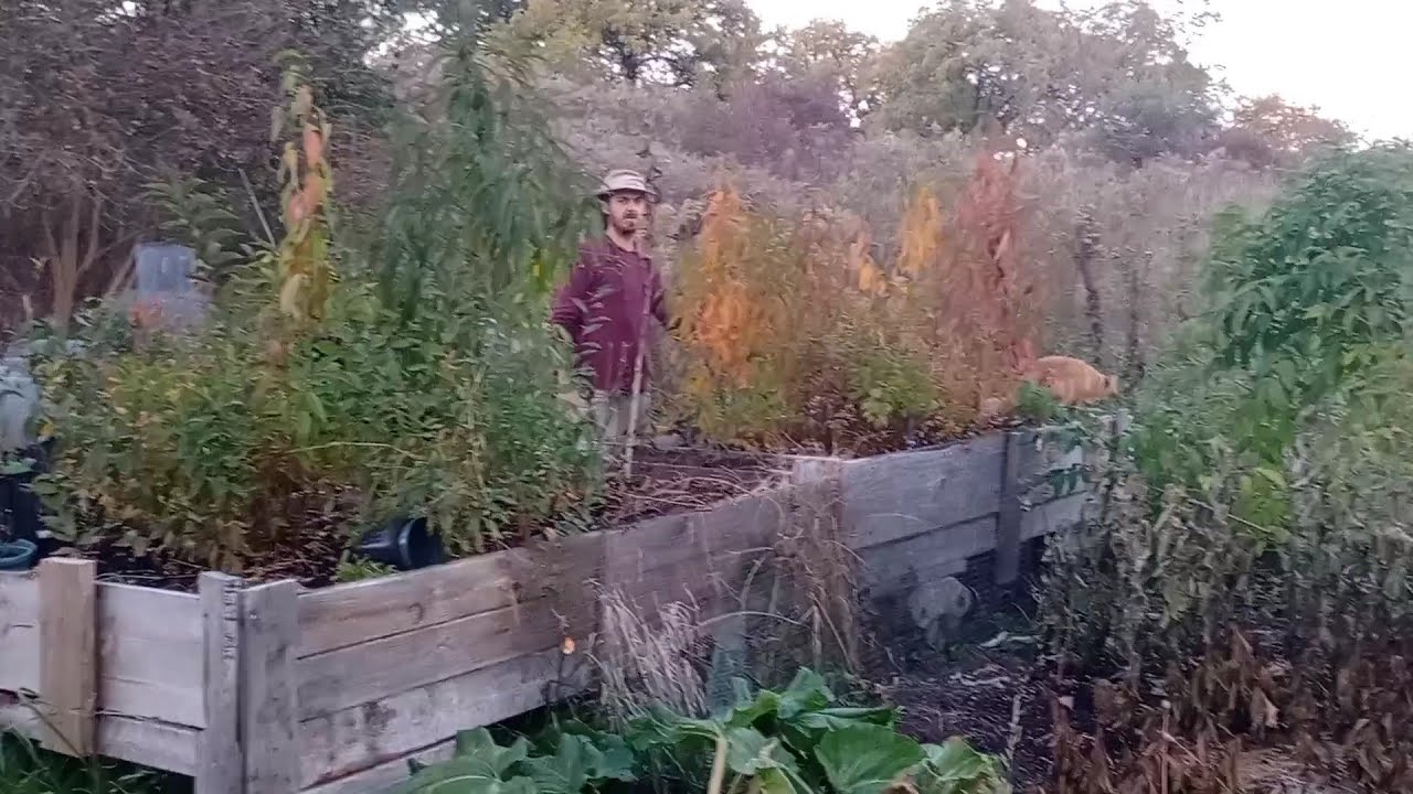 Air Pruning and Nursery Beds: Nearly 5' Growth First Year from Seed ...