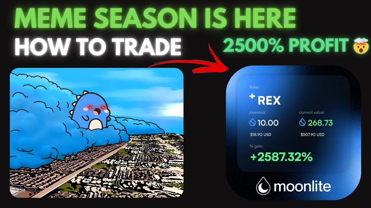 Meme Season is Here! How to Trade Sui Meme Coins | Step-by-Step Guide ...