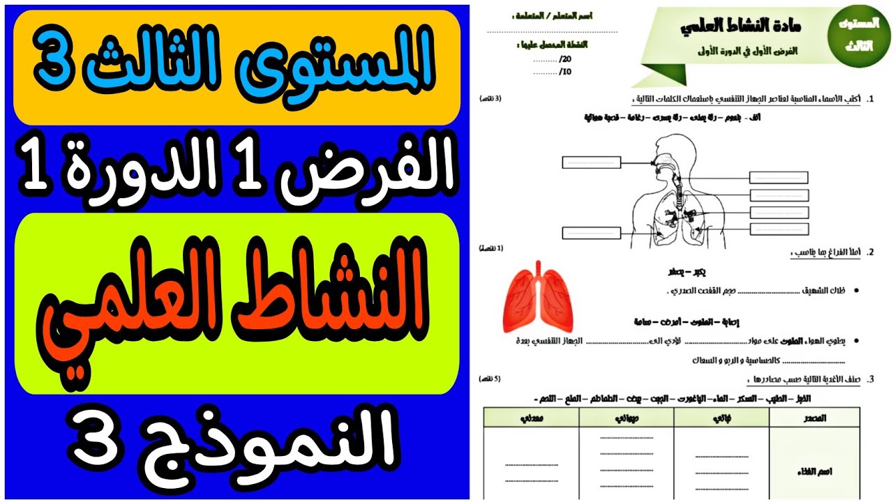 فرض النشاط العلمي المستوى الثالث إبتدائي الدورة الأولى فروض المرحلة