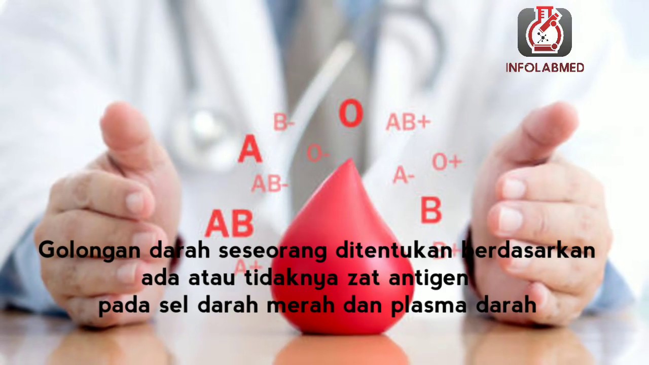 PEMERIKSAAN GOLONGAN DARAH A, B, O METODE SLIDE - YouTube